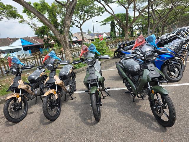 Aveta ranger 115 NEW MODEL AVETA RANGER CUB CROSS - Motorcycles for ...