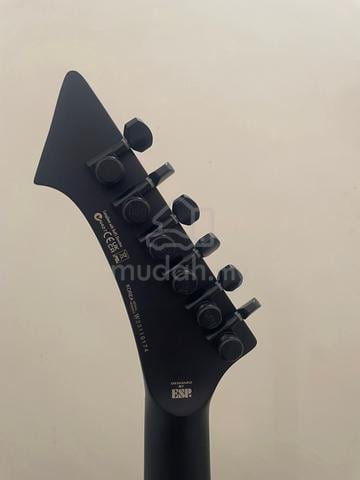 ESP LTD Snakebyte James Hetfield Signature Guitar - TV/Audio/Video for ...