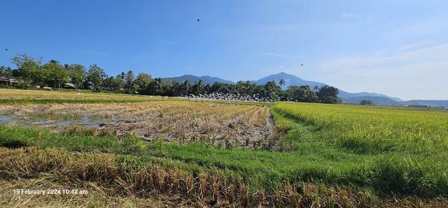 Agricultural Land for Sale, 2 Acre(s), Langkawi, Kedah | Mudah.my