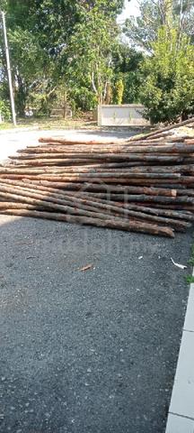 kayu bakau - Garden Items for sale in Shah Alam, Selangor