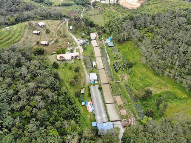 Agricultural Land for Sale, 15 Acre(s), Kerling, Selangor | Mudah.my