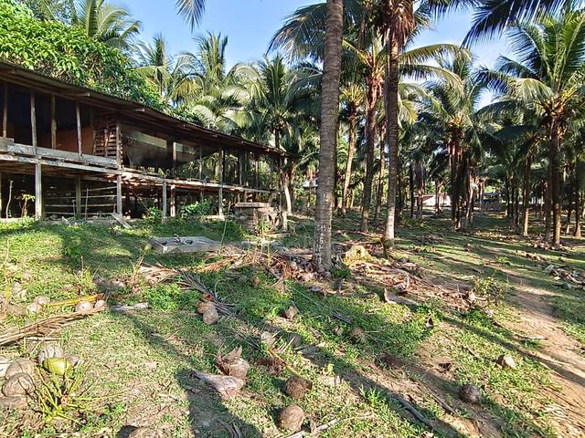 Agricultural Land for Sale, 1.9 Acre(s), Labu, Negeri Sembilan | Mudah.my