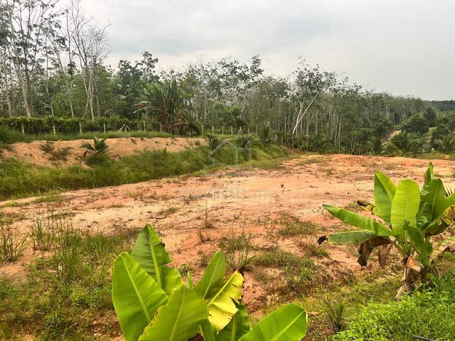 Agricultural Land for Sale, 6 Acre(s), Segamat, Johor | Mudah.my