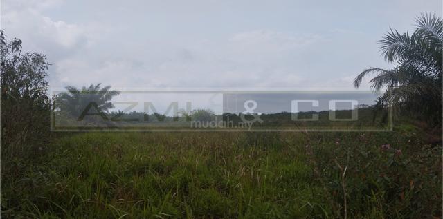 Agricultural Land for Sale, 3 Acre(s), Ayer Hitam, Johor | Mudah.my
