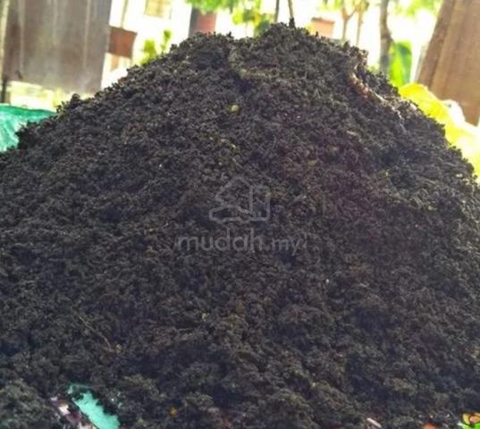 tahi cacing baja cacing20kg x2pack - Garden Items for sale in ...