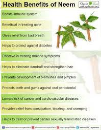 Daun Neem/Semambu segar/fresh - Health & Beauty for sale in Kota ...
