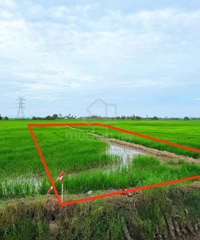 Land for Sale, 10909 Acre(s), Others, Perlis 114029703 | Mudah.my