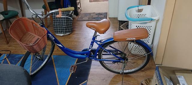 Bicycle basikal bakul Jackal freedom with basket - Sports & Outdoors ...