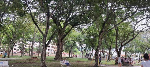 Condominium for Sale, 3 Bedroom, 950 sq.ft, Springfield, Bayan Lepas ...