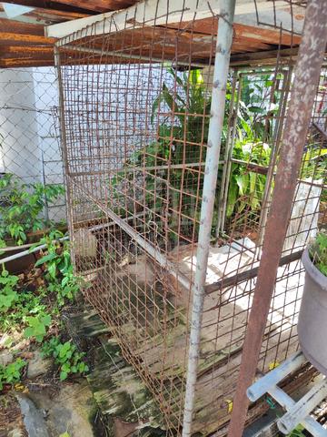5feet Kandang metal pipe cage itik ayam farm kabun - Pets for sale in ...