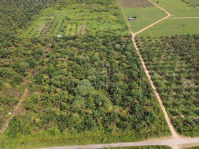 Agricultural Land for Sale, 5.95 Acre(s), Ayer Baloi, Johor | Mudah.my
