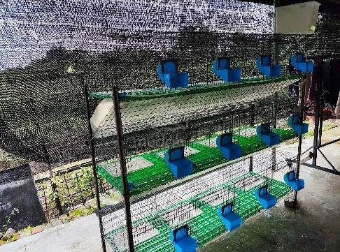 Sangkar arnab/ rabbit cage - Pets for sale in Bukit Baru, Melaka