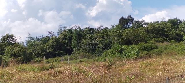 Agricultural Land for Sale, 1 Acre(s), Lanchang, Pahang 111018554 ...