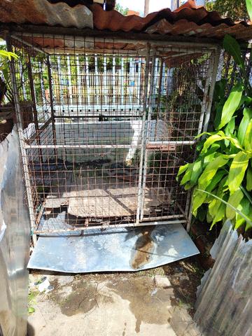 large cage kandung ayam kucing anjing itik besi - Pets for sale in Kota ...