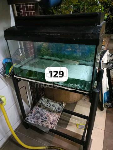 set akuarium - Pets for sale in Damansara Damai, Selangor