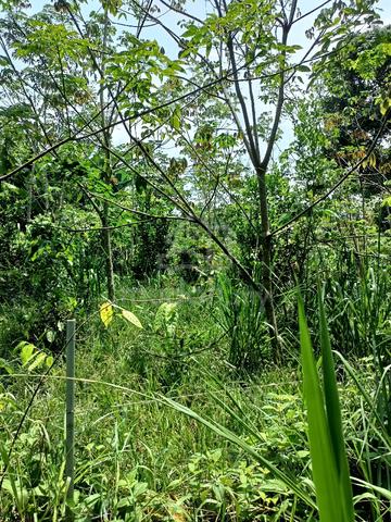 Agricultural Land for Sale, 3.42 Acre(s), Jelebu, Negeri Sembilan ...