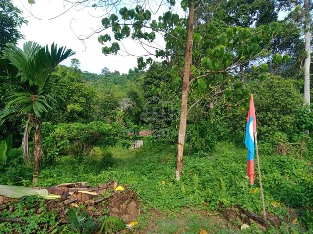 Industrial Land for Sale, 5 Acre(s), Rompin, Pahang | Mudah.my