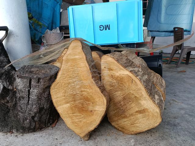 Kayu Halban @ leban - Others for sale in Kota Bharu, Kelantan