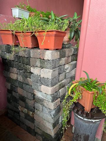 Bata Simen dan Bata Merah - Garden Items for sale in Kepala Batas, Penang