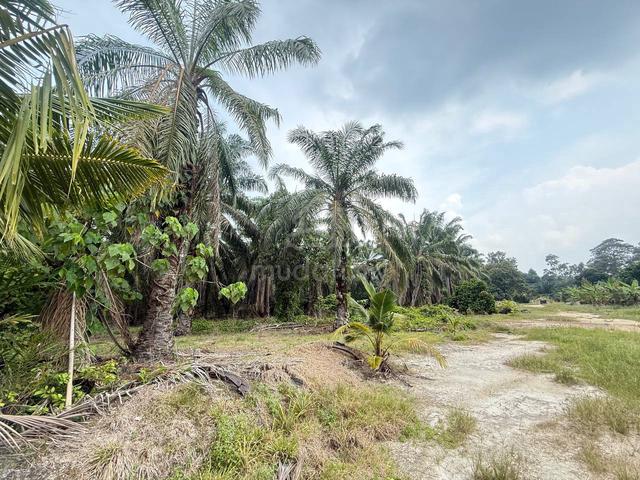 Agricultural Land for Sale, 7.47 Acre(s), Jasin, Melaka 113111941 ...