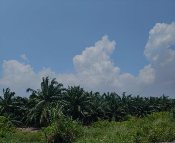 Agricultural Land for Sale, 1 Acre(s), Merlimau, Melaka | Mudah.my