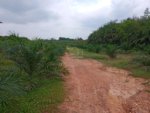Agricultural Land for Sale, 0.01 Acre(s), Guar Chempedak, Kedah ...
