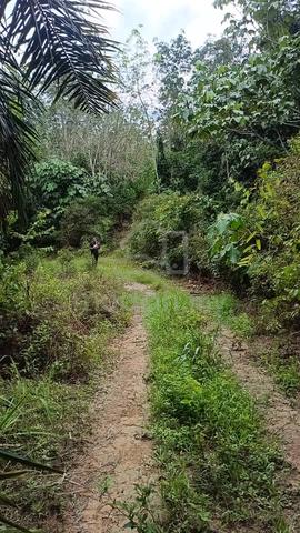 Agricultural Land for Sale, 4.9 Acre(s), Slim River, Perak 112323216 ...