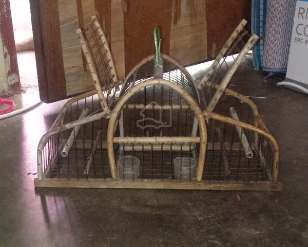 jebak burung - Pets for sale in Sungai Siput, Perak