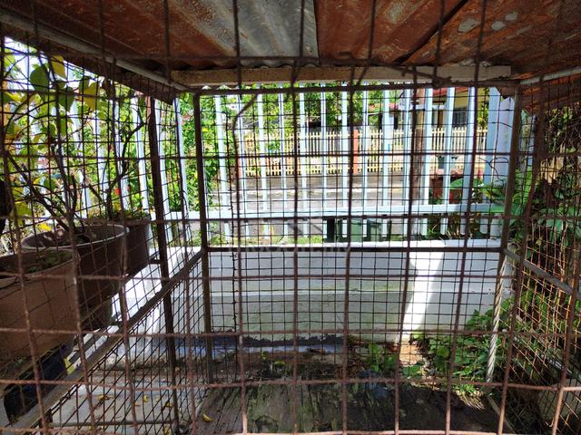 Kandang metal pipe cage itik ayam farm kabun - Pets for sale in Kota ...
