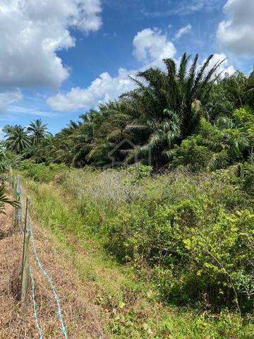 Industrial Land for Sale, 5.90 Acre(s), Jimah, Negeri Sembilan | Mudah.my