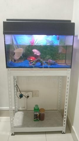 Fish Tank For Sale 2 feet Are Klang Shah alam - Pets for sale in Klang ...