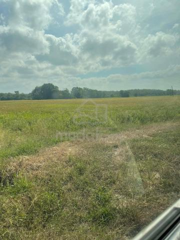 Agricultural Land for Sale, 8800 Acre(s), Titi Tinggi, Perlis | Mudah.my