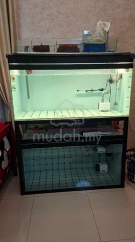 Aquarium 4x2x2 double tank custom - Pets for sale in Permas Jaya, Johor