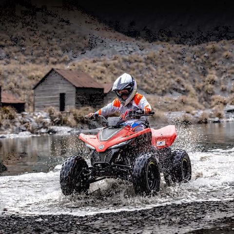 Cf 110cc atv cforce in Malaysia cod perak new - Sports & Outdoors for ...