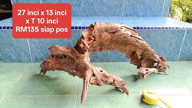 kayu hiasan aquarium DISCUS curve shape - Pets for sale in Pontian, Johor
