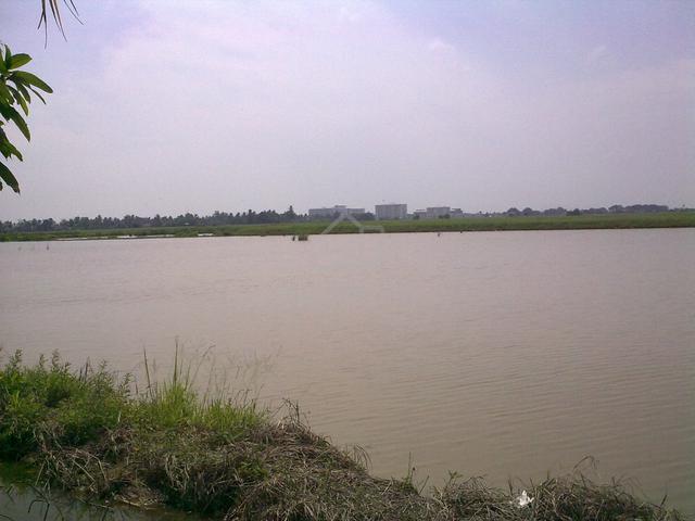 Agricultural Land for Sale, 3 Acre(s), Alor Setar, Kedah | Mudah.my