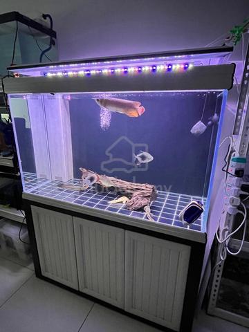 Aquarium Tank 4 feet + Fish - Pets for sale in Puchong, Selangor