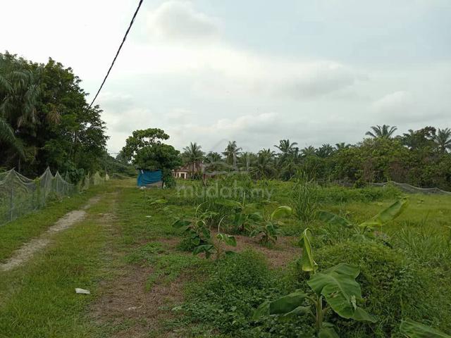 Agricultural Land for Sale, 4.56 Acre(s), Banting, Selangor 111809180 ...