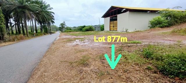 Residential Land for Sale, 877 Acre(s), Setiu, Terengganu | Mudah.my