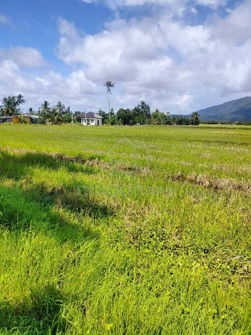 Land for Sale, 1 Acre(s), Yan, Kedah | Mudah.my