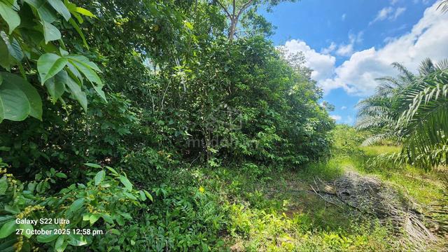 Agricultural Land for Sale, 3 Acre(s), Parit, Perak 113281142 | Mudah.my