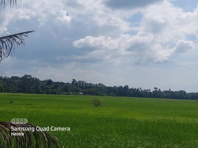 Agricultural Land for Sale, 2.32 Acre(s), Merbok, Kedah 107362077 ...
