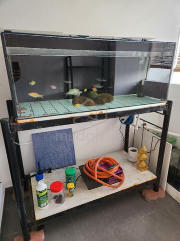 4 x 2 feet fish tank - Pets for sale in Puchong, Selangor