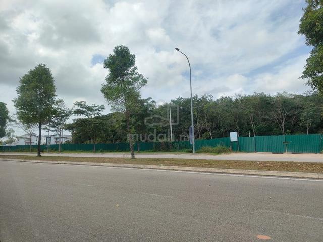 Pokok getah tua - Garden Items for sale in Masai, Johor