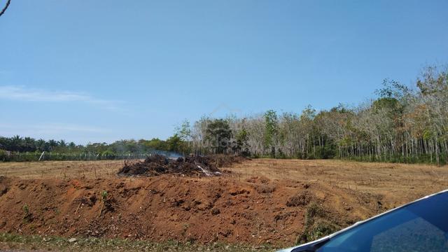 Agricultural Land for Sale, 10 Acre(s), Pendang, Kedah | Mudah.my