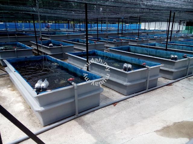 Fish Rearing Tank. ( Offer ) - Pets for sale in Others, Kuala Lumpur