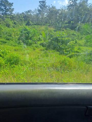 Agricultural Land for Rent, 3.5 Acre(s), Raub, Pahang 112115435 | Mudah.my