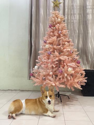 Pink Christmas Tree with Star Topper - Furniture & Decoration for sale ...