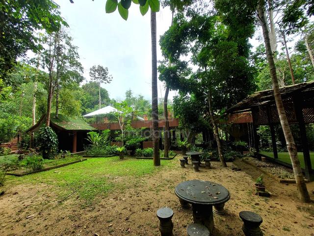 Agricultural Land for Sale, 3 Acre(s), Raub, Pahang 110615395 | Mudah.my