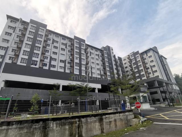 Apartment for Rent, 3 Bedroom, 700 sq.ft, surian Tropika Apt, Bandar ...